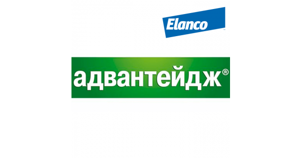 👍 Купить средства Адвантейдж от блох, вшей и власоедов у собаки в ...