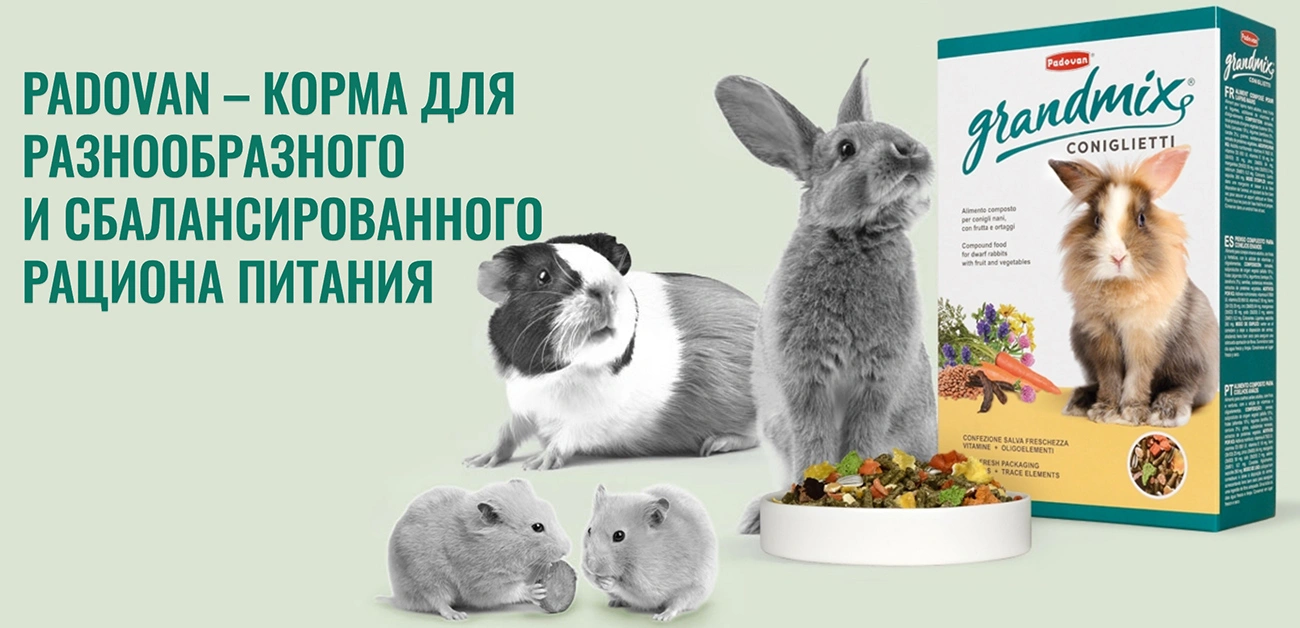 👍 Купить корм для грызуна Padovan в Калининграде 🐭 Интернет-зоомагазин ...